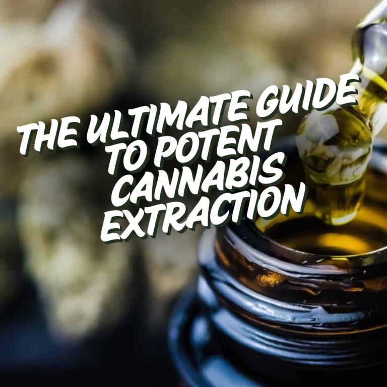 How to Make Hash Oil – The Ultimate Guide to Potent Cannabis Extraction ...