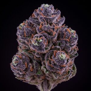 Kush Definition: What Is Kush and Why Strains Like Purple Kush Are So ...
